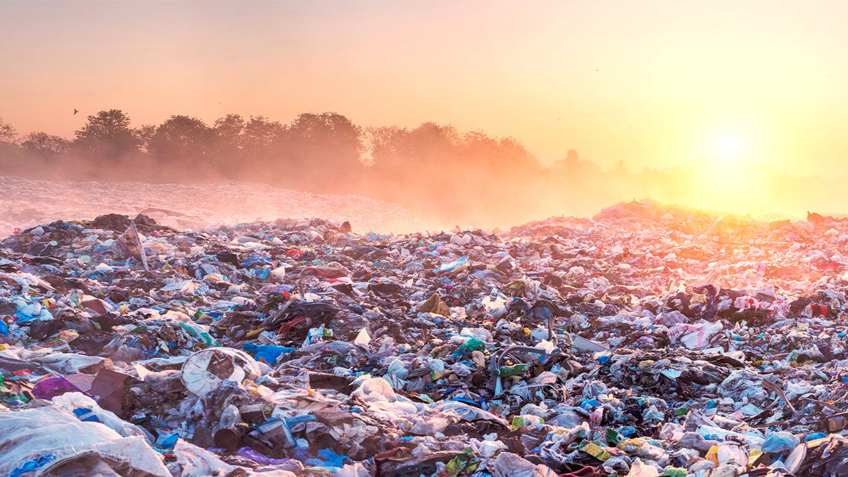 Die Einweg-Plastik-Spur: Tonnen an Abfall und Gefahren für Mensch und ...